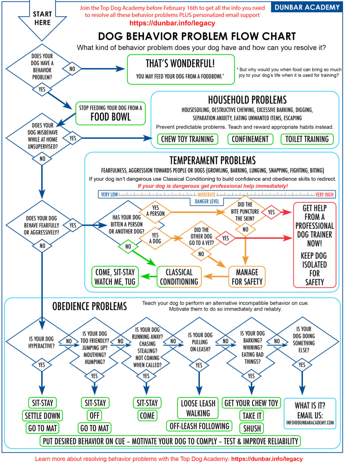Dog Training and Behavior problems - Home and Field dogs | French Brittany