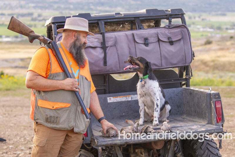 The Ultimate Guide to Chukar Hunting with a French Brittany in Utah ...